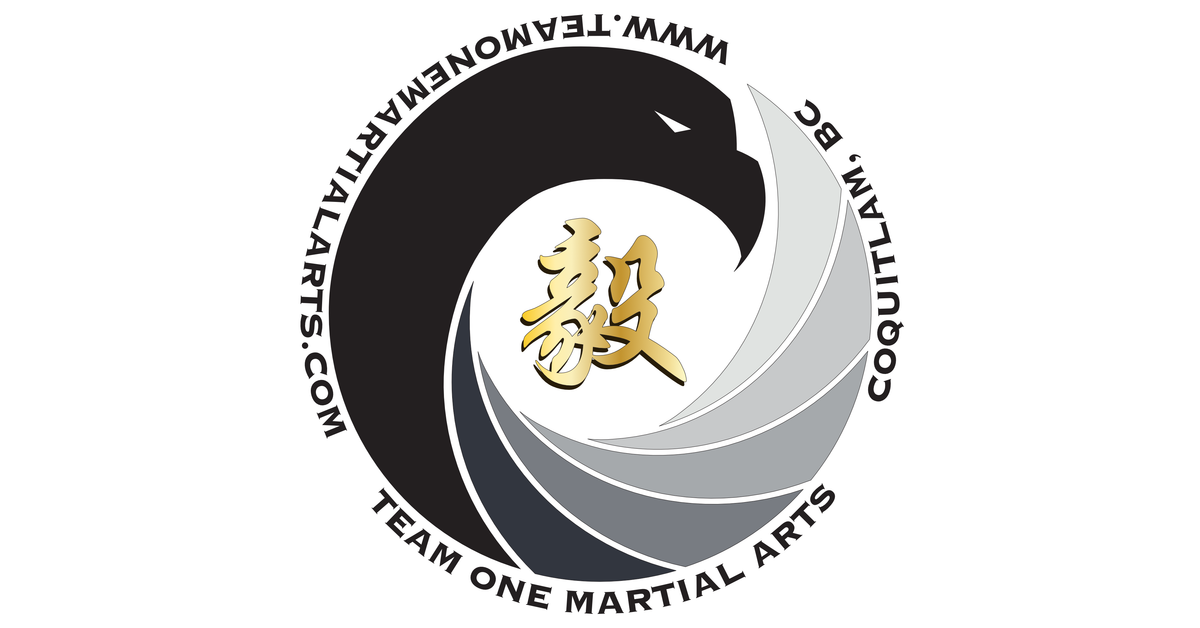Team One Martial Arts – My Store